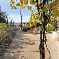 Temecula Olive Oil Company