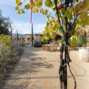 Temecula Olive Oil Company